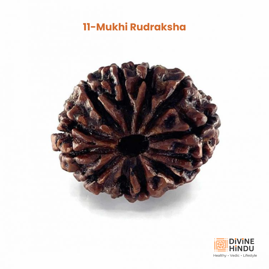 Buy 11 Mukhi Rudraksha Online for Courage | Divine Hindu