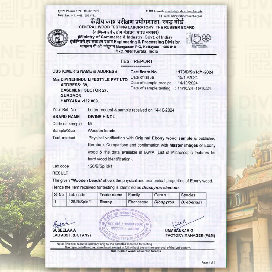 7 Horses Raw Pyrite Frame – Vastu Wall Decor for Prosperity – Divine Hindu