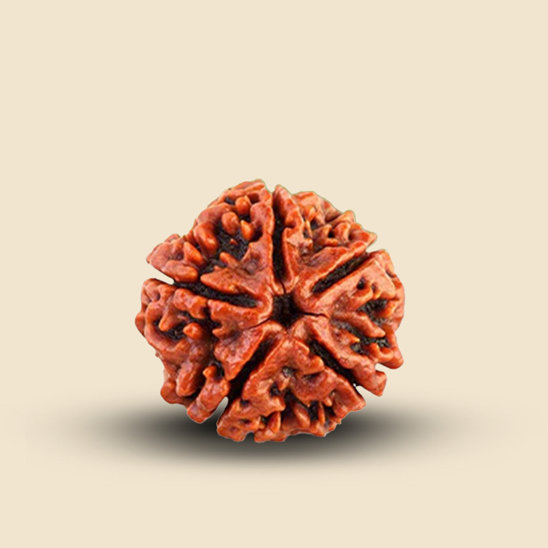 Gold Plated Rudraksha OM Shiva Trishool Necklace - Divine Jewelry ...